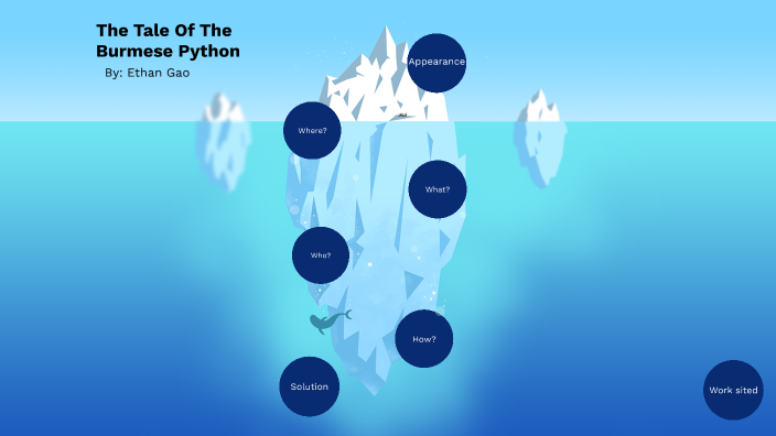 The Tale Of The Burmese Pythons by Ethan Gao on Prezi