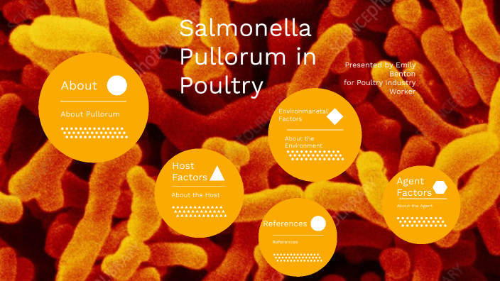 Pullorum- Culminating Assignment by Emily Benton on Prezi