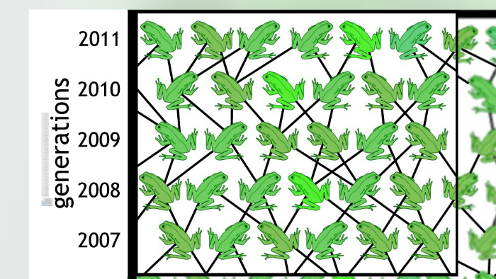 Microevolution to Macroevolution by Jeremy Mohn on Prezi