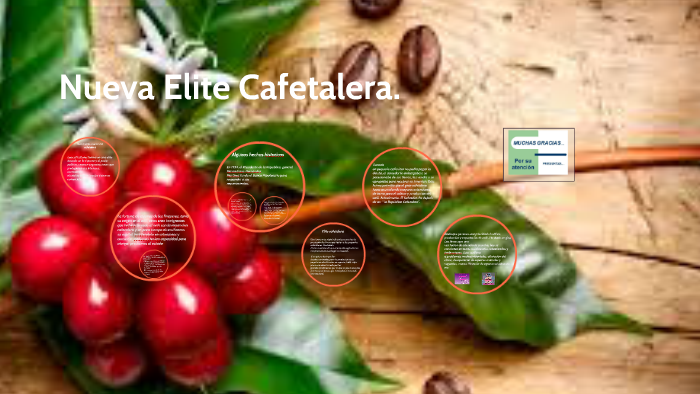 Nueva Elite Cafetalera. by Fatima Esquivel on Prezi