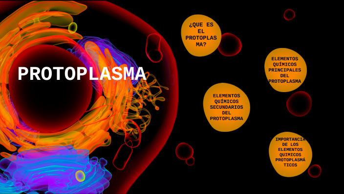 Protoplasma y su composición by gisela barreiro on Prezi