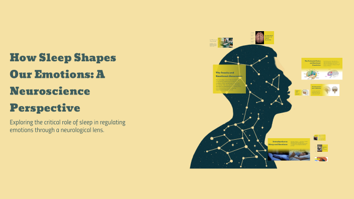 How Sleep Shapes Our Emotions: A Neuroscience Perspective by Narayani ...
