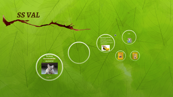 SS VAL by sander kats on Prezi