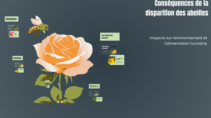 Conséquences de la disparition des abeilles by Naé Hilaire on Prezi