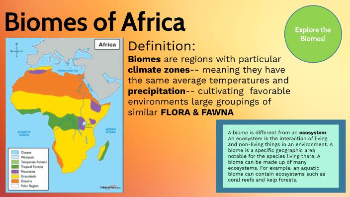 African Biomes by Cate Wilborn on Prezi