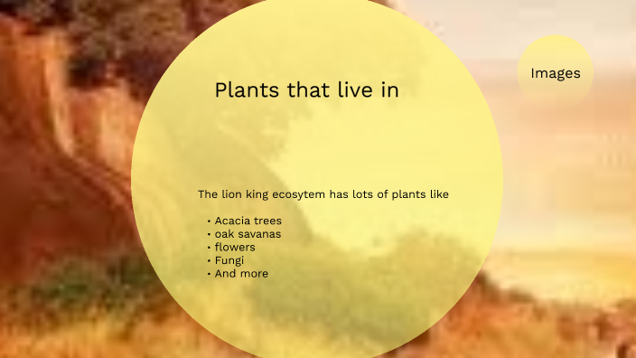 Ecosystem project by Mckenzye Partridge on Prezi