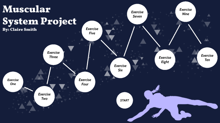 Muscular System Mini-Project by Claire Smith on Prezi