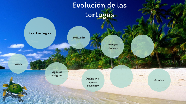 Evolución de Las Tortugas by santiago cortes soto on Prezi