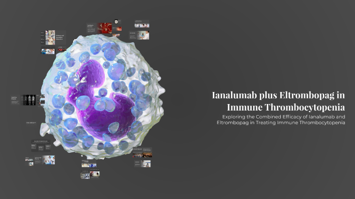 Ianalumab plus Eltrombopag in Immune Thrombocytopenia by Vaibhav ...