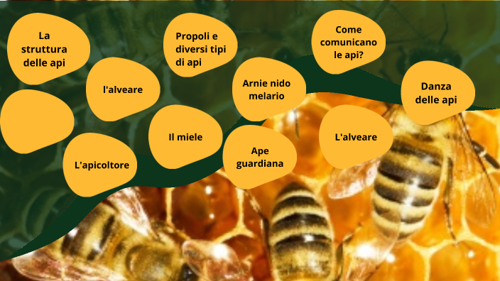 LE API by emanuele mancino on Prezi