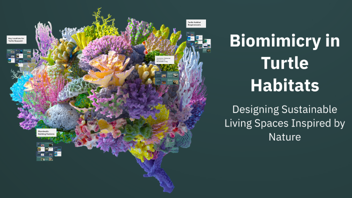 Biomimicry in Turtle Habitats by Mark Suissi on Prezi
