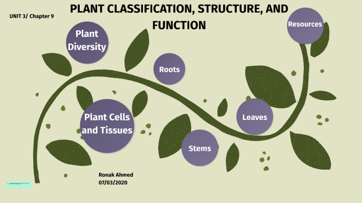Plant Classification, Structure, and Function by Ronak A. Hassan