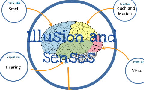 Illusion and senses by on Prezi