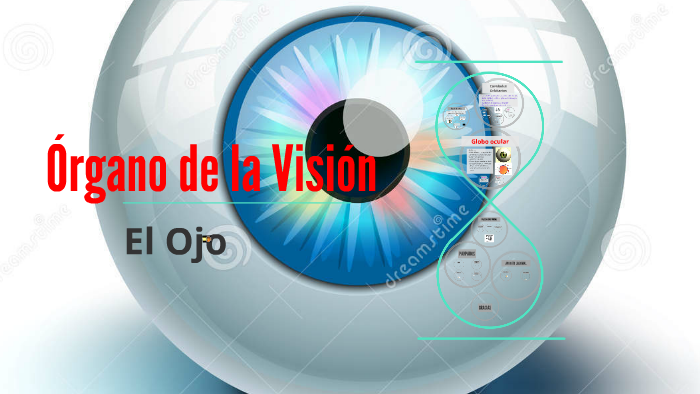Organo de la Visión by Maria Sol on Prezi
