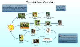 Tallgrass Prairie Food Web