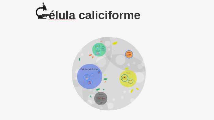 Célula caliciforme by Monse Garciaguirre on Prezi