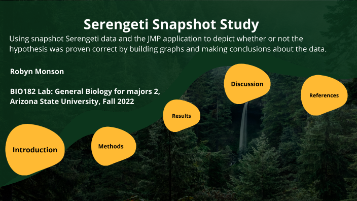 Serengeti Project by Robyn Monson on Prezi