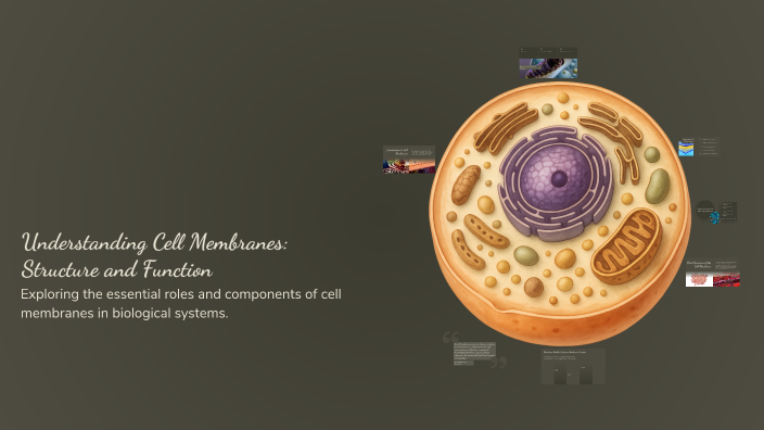 Understanding Cell Membranes: Structure and Function by Shahd Shahd on ...
