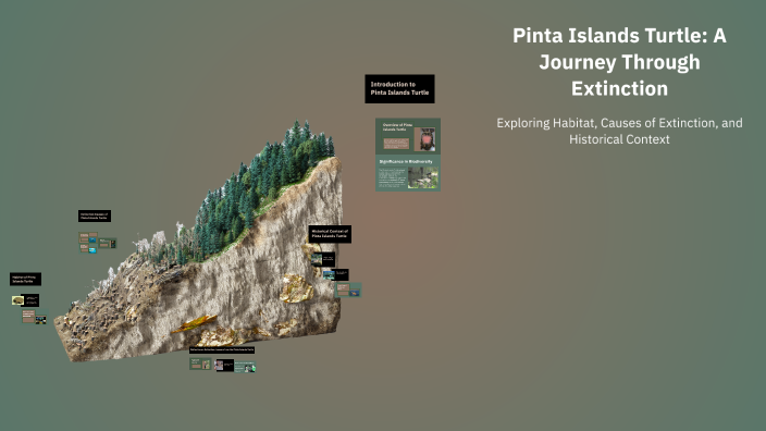 Pinta Islands Turtle: A Journey Through Extinction by naruto on Prezi