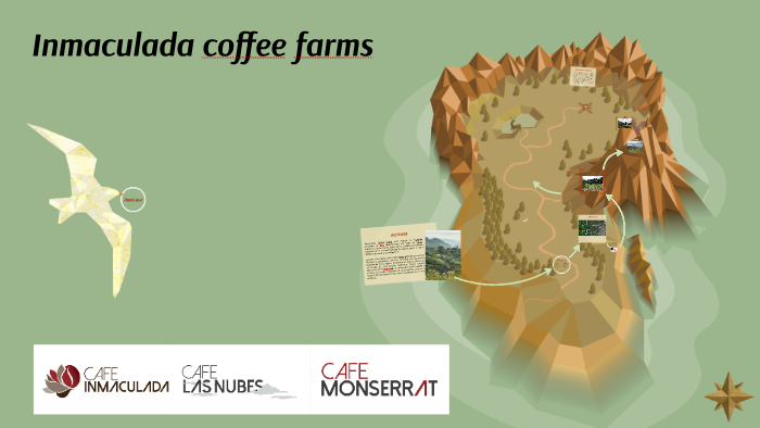 Inmaculada Coffee Farms by on Prezi