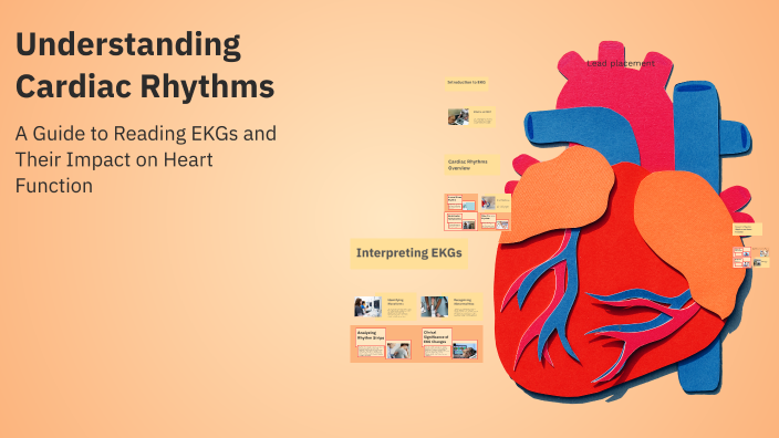 Understanding Cardiac Rhythms by Riley Buer on Prezi