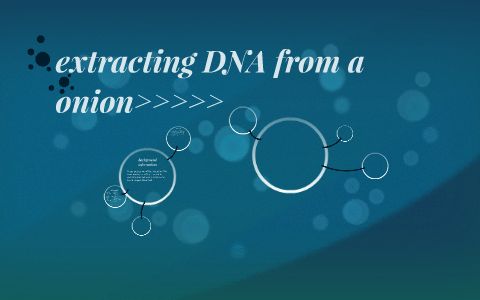 extracting DNA from a onion>>>>> by sakshi sharma on Prezi