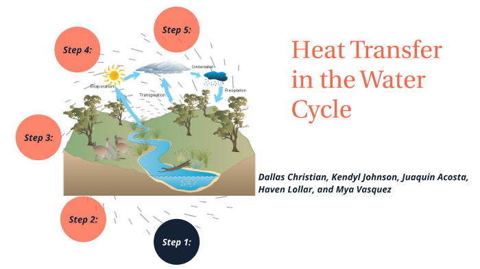 Heat Transfer in the Water Cycle by Mya Vasquez on Prezi