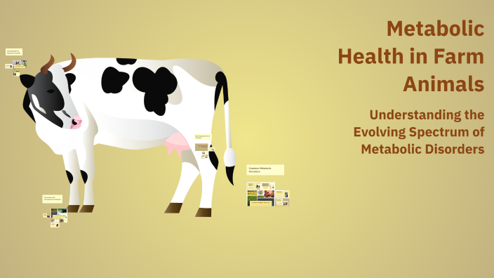 Metabolic Health in Farm Animals by Ignacio Ipharraguerre on Prezi