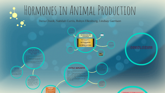 Hormones in Animal Production by Lindsay Garrison on Prezi