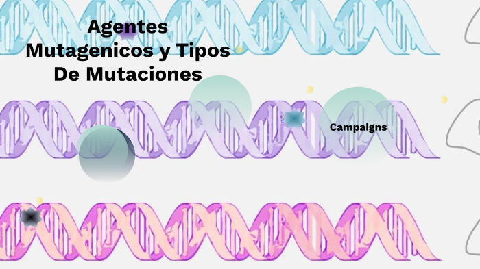 Agentes Mutagénicos y Tipos De Mutaciones by Astrid Contreras on Prezi
