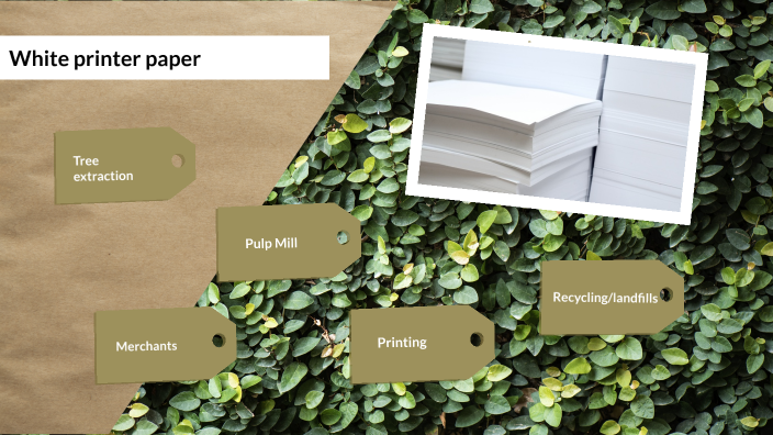 White printer paper life cycle by Saif Sattaur on Prezi