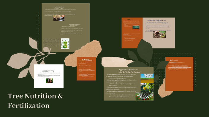 Tree Nutrition and Fertilization by shyanne wells on Prezi