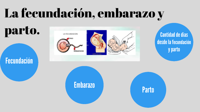 La fecundación, embarazo y parto by Rocío Maite Mazariegos Ramírez on Prezi