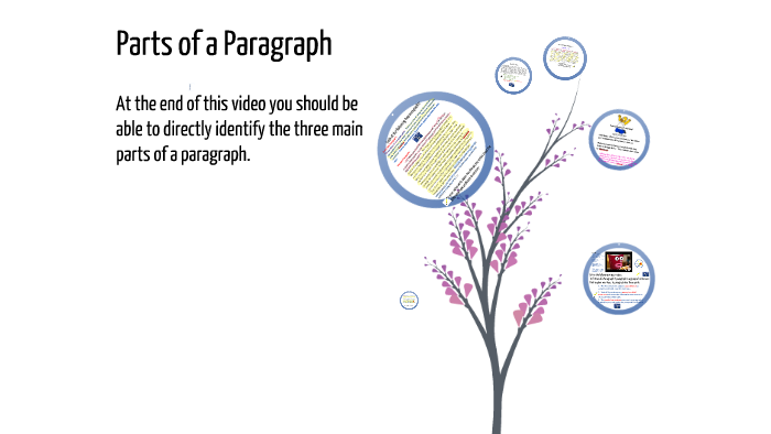 2017-18 Parts of a Paragraph by Elizabeth Suchanski on Prezi
