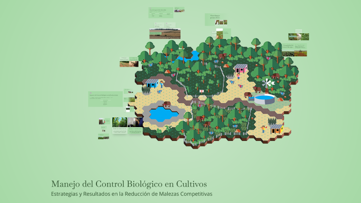 Manejo del Control Biológico en Cultivos by angelica caceres alvarez on ...
