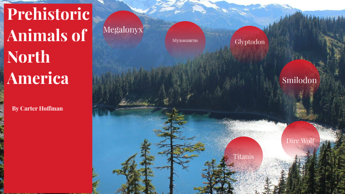 Prehistoric Animals of North America by Carter H on Prezi