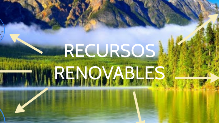 RECURSOS RENOVABLES by Gina Paz