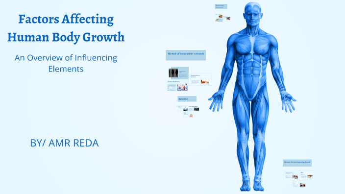 Factors Affecting Human Body Growth by Amr Reda on Prezi