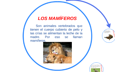 LOS MAMIFEROS by DORIS URIBE on Prezi