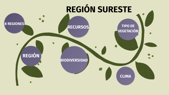 REGIÓN SURESTE DE MÉXICO by Vianney Amador Suarez on Prezi