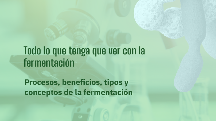 Todo lo que tenga que ver con la fermentación by JORGE LUIS LORENZO ...