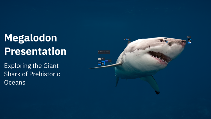 Megalodon Presentation by کورش کلانتر نیستانکی on Prezi