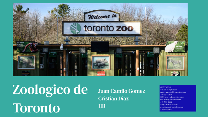Zoologico de toronto by Isabella Aponte on Prezi