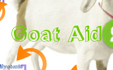 Goat Aid by Ben Yeats on Prezi