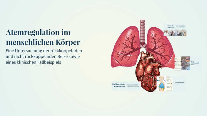 Atemregulation im menschlichen Körper by Turay Simsek on Prezi