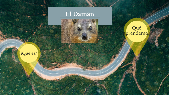 el Damán by aimee rodriguez placeres on Prezi