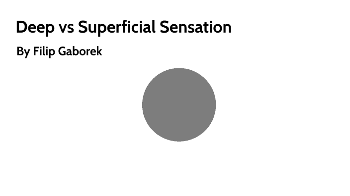 Deep and Superficial Sensation by Filip Gaborek on Prezi