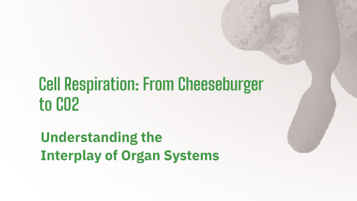 Cell Respiration: From Cheeseburger to CO2 by Carmella Livingston on Prezi