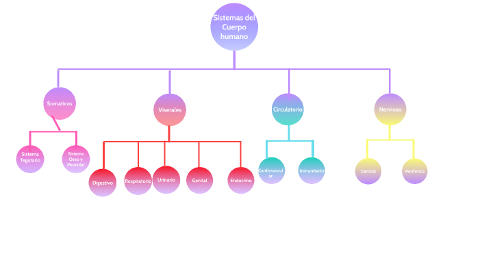 mapa conceptual by jessenia quiñones on Prezi