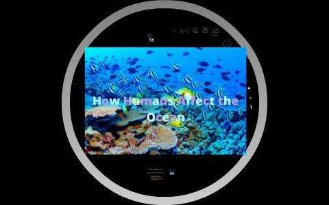 How Humans Affect the Ocean by Mackenzie Sheppard on Prezi